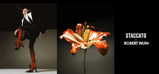 STACCATO Global Official Store